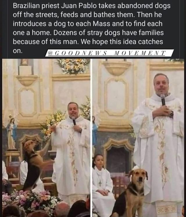 Brazilian priest Juan Pablo takes abandoned dogs off the streets, feeds ...