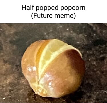 Half popped popcorn (Future meme) - iFunny