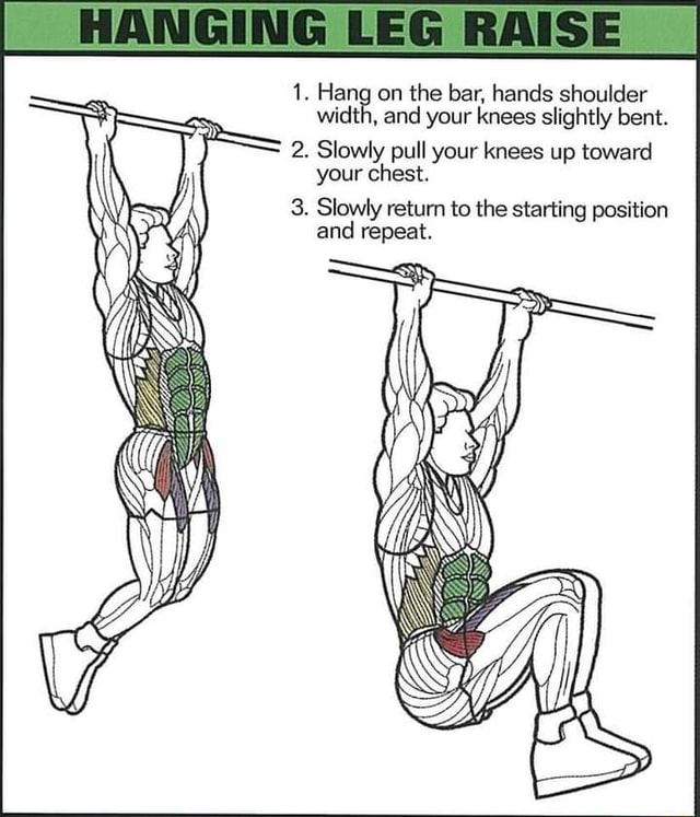 HANGINGIREGIRAISE 1. Hang on the bar, hands shoulder width, and your ...