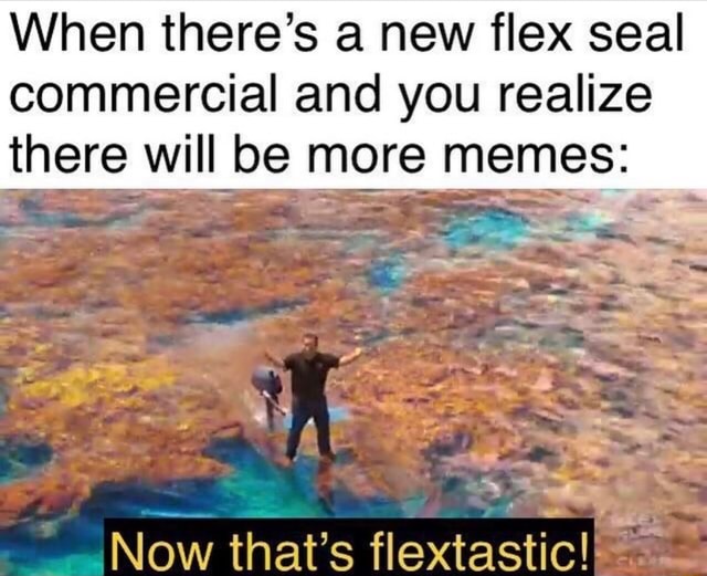 When there’s a new flex seal commercial and you realize there will be ...