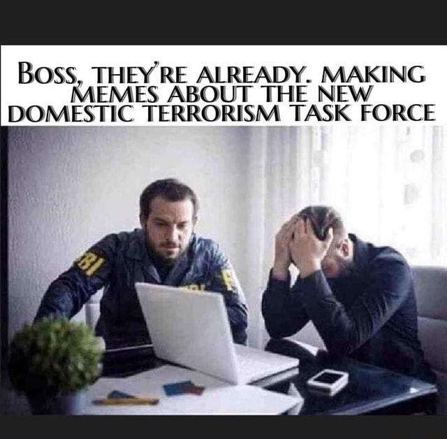 BOSS, THEY RE ALREADY. MAKING MEMES ABOUT THE NEW DOMESTIC TERRORISM ...