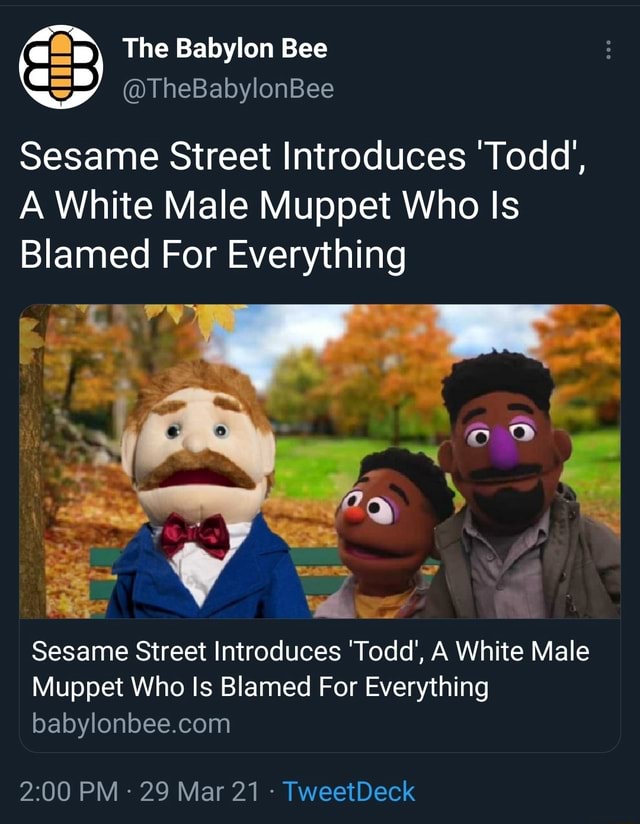 The Babylon Bee @TheBabylonBee Sesame Street Introduces 'Todd', A White ...