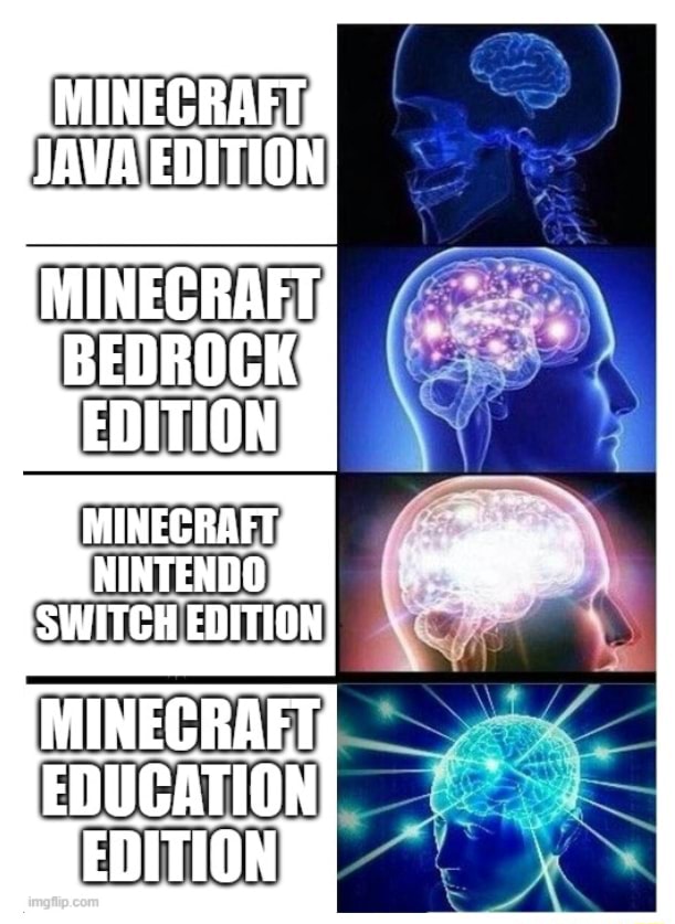 MINECRAFT JAVA'EDITION MINECRAFT, NINTENDO SWITCH EDITION EDITION - iFunny