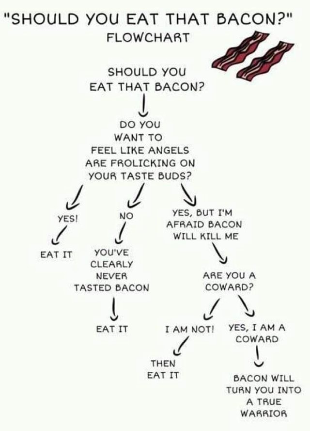 "SHOULD YOU EAT THAT BACON?" FLOWCHART SHOULD yOu EAT THAT BACON? BO ...