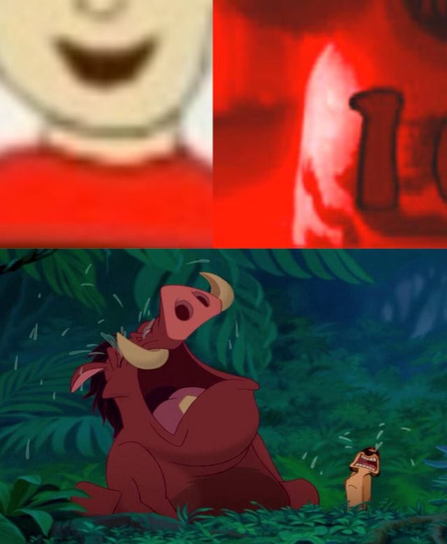 Timon and pumbaa cry over - iFunny