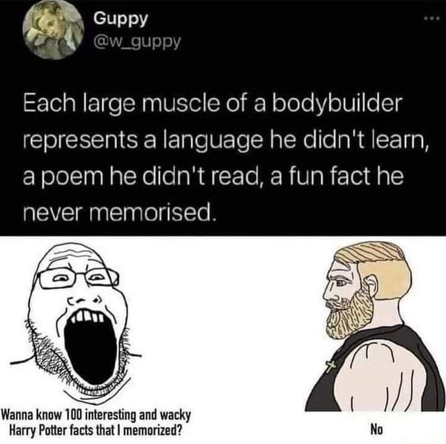 * We Each large muscle of a bodybuilder represents a language he didn't ...