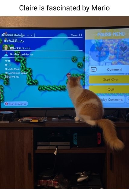 Claire is fascinated by Mario - iFunny