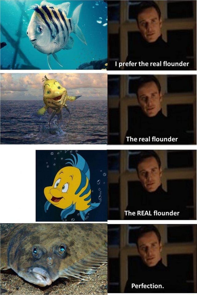 I prefer the real flounder The real flounder The REAL flounder ...