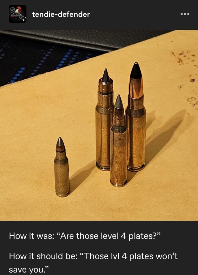 Tendie-defender How it was: "Are those level 4 plates?" How it should ...