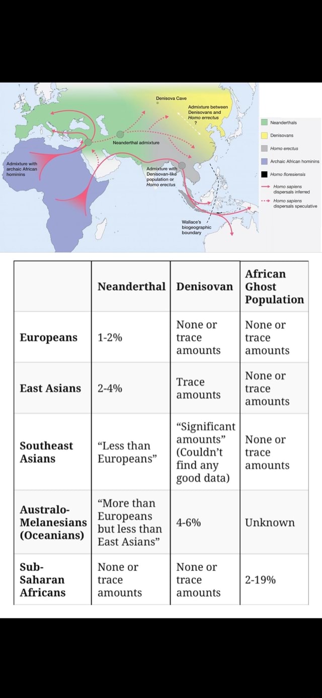 Admixture with archaic African hominins Europeans East Asians Southeast ...