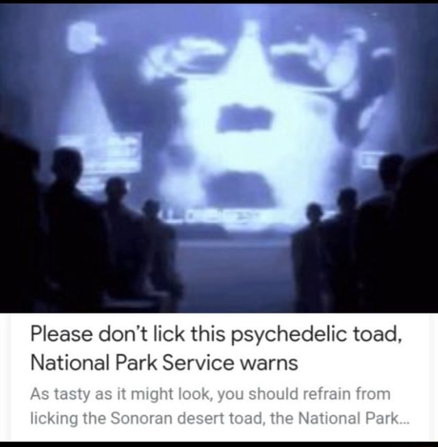 Please don't lick this psychedelic toad, National Park Service warns As tasty as it might look ...