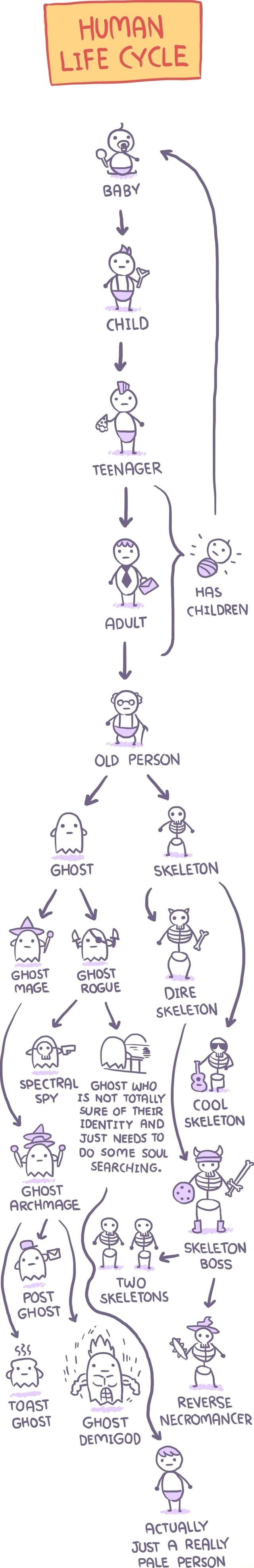 HUMAN LIFE CYCLE BABY CHILD TEENAGER HAS apuLt CHILDREN OLD PERSON ...