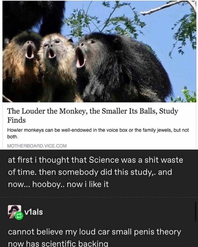 AN The Louder the Monkey, the Smaller Its Balls, Study Finds Howler ...