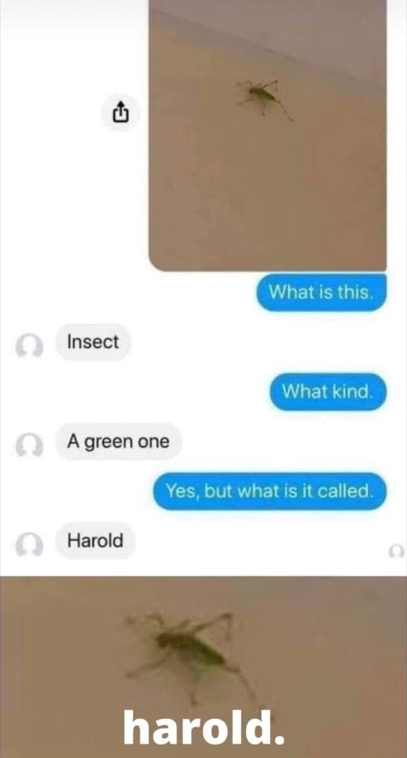 I What is this Insect What kind A green one Yes, but what is it called ...