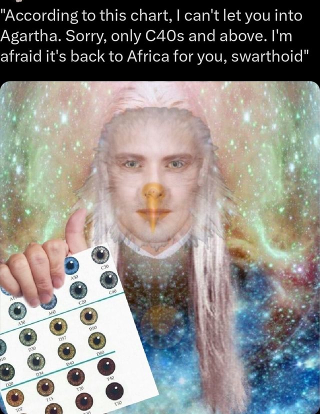 "According to this chart, I can't let you into Agartha. Sorry, only ...