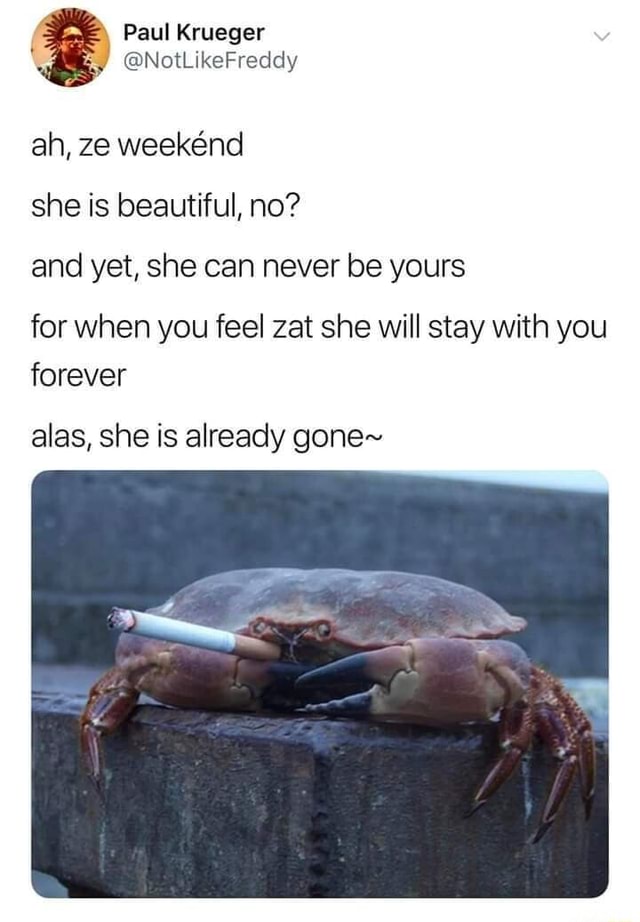 Paul Krueger MOUNT ah, ze weekend she is beautiful, no? and yet, she ...