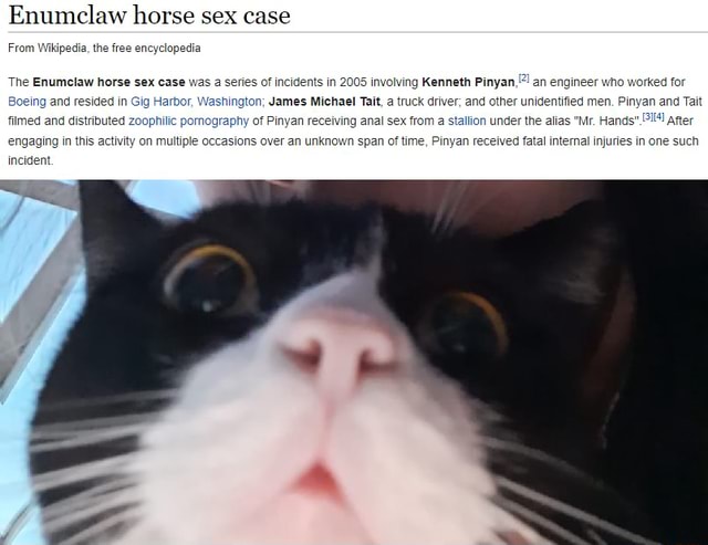 Enumclaw horse sex case From Wikipedia, the free encyclopedia The ...