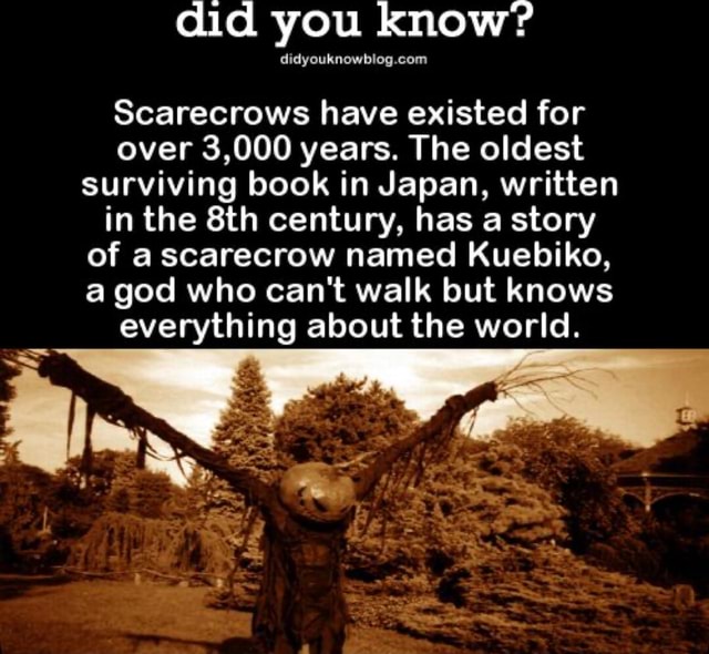 Did you know? didyouknowbiog com Scarecrows have existed for over 3,000 ...