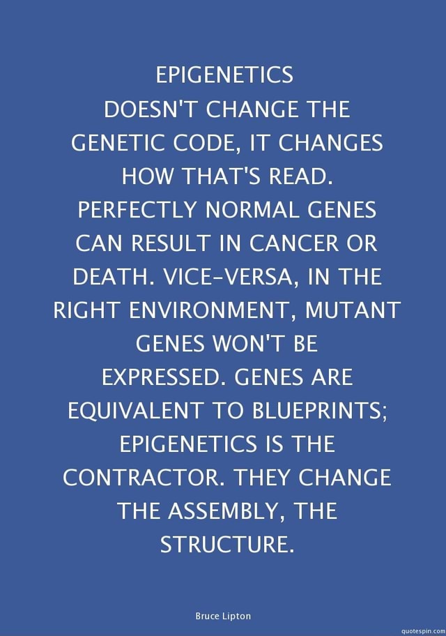 EPIGENETICS DOESN'T CHANGE THE GENETIC CODE, IT CHANGES HOW THAT'S READ ...