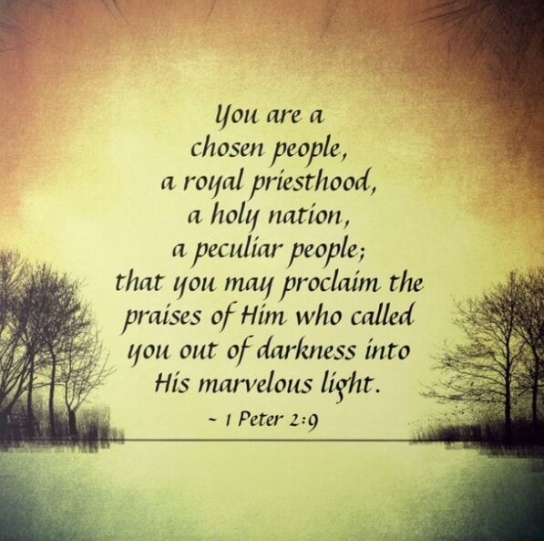 You area chosen people, a royal priesthood, holy nation, a peculiar ...