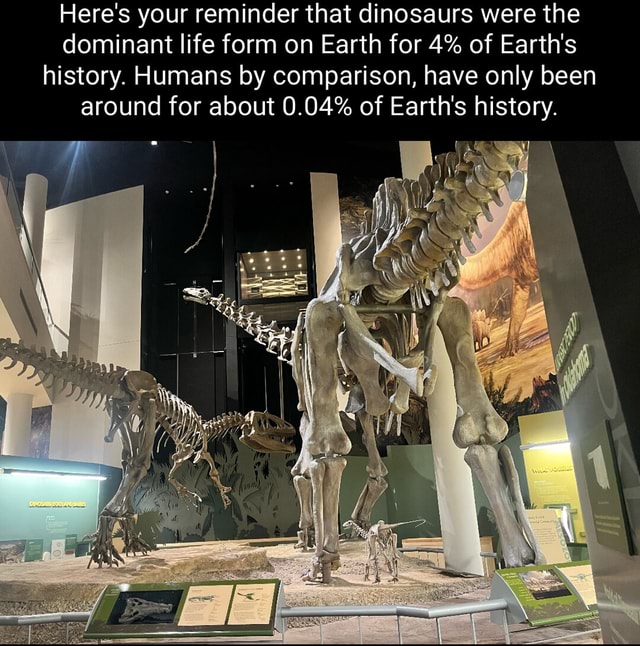 Here's your reminder that dinosaurs were the dominant life form on ...