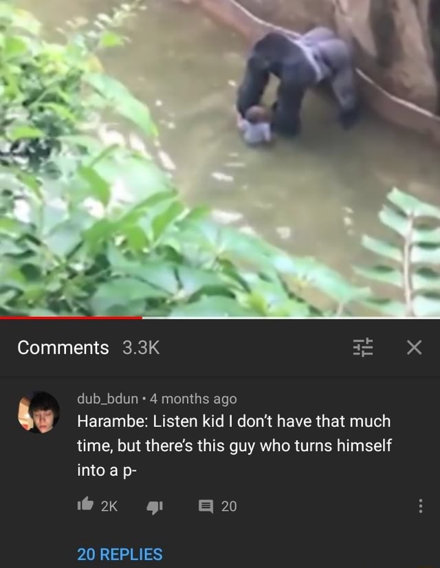 4 months ago Harambe: Listen kid I don't have that much time, but there ...