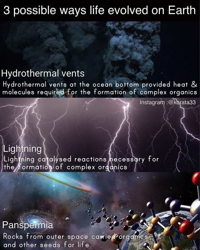 3 possible ways life evolved on Earth Hydrothermal vents Hydrothermal ...