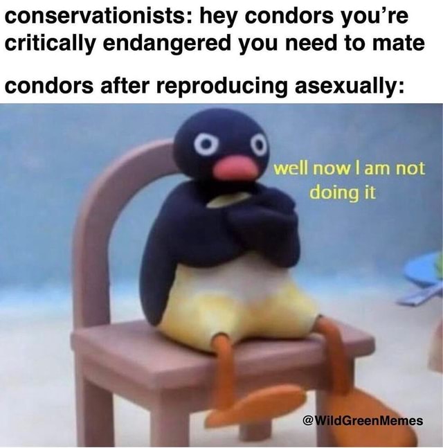 What’s your favorite endangered species? Meme by @beingevolved ...