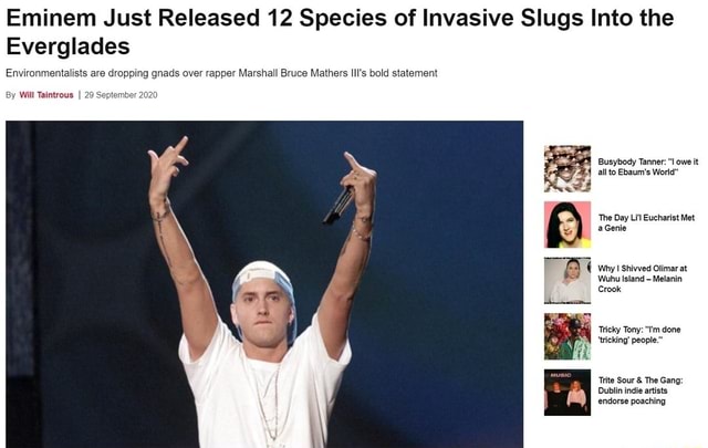 Eminem Just Released 12 Species of Invasive Slugs Into the Everglades ...