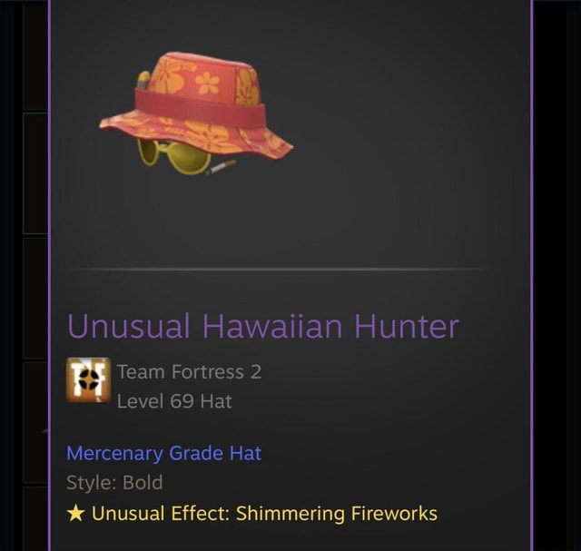 Unusual Hawaiian Hunter Ty Team Fortress 2 Level 69 Hat Mercenary Grade ...