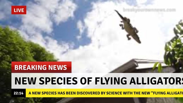 A new species discovered? - LIVE BREAKING NEWS NEW SPECIES OF FLYING ...