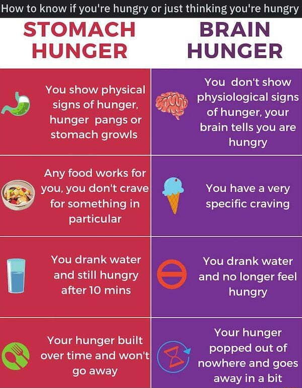 How to know if you're hungry STOMACH HUNGER You show physical signs of ...