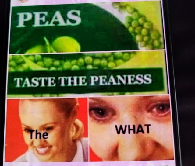 I TASTE PEANISS The - iFunny