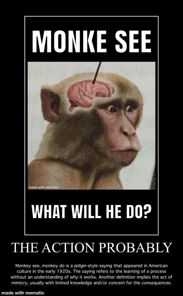 MONKE SEE WHAT WILL HE DO? THE ACTION PROBABLY Monkey see, monkey do is ...