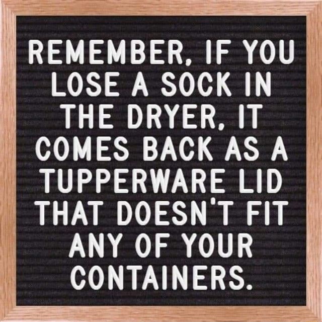 REMEMBER, IF YOU LOSE A SOCK IN THE DRYER, IT COMES BACK AS A ...