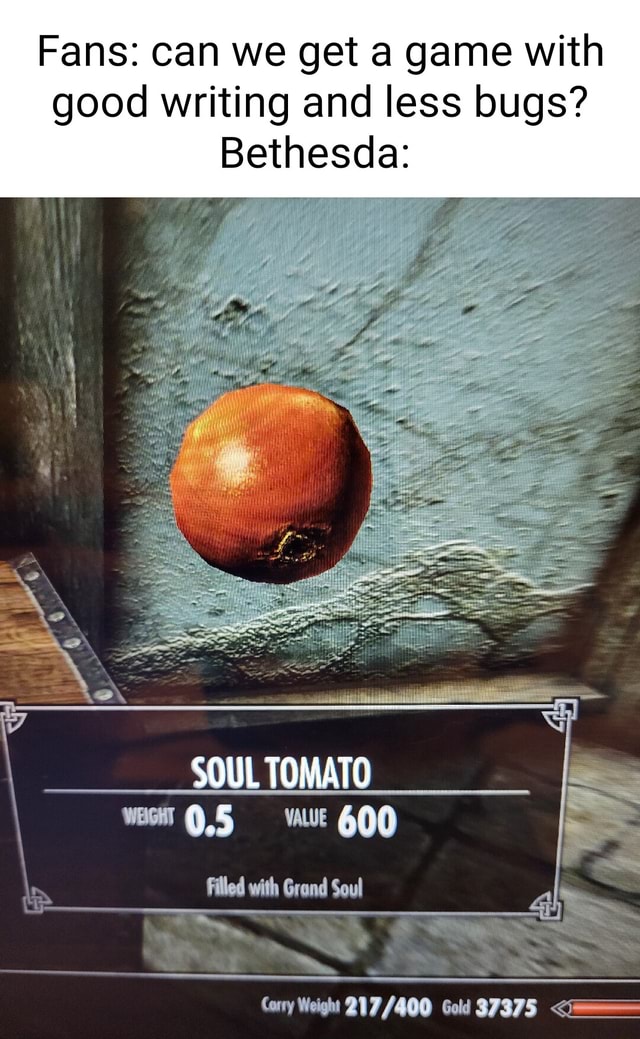 Fans: can we get a game with good writing and less bugs? Bethesda: SOUL ...