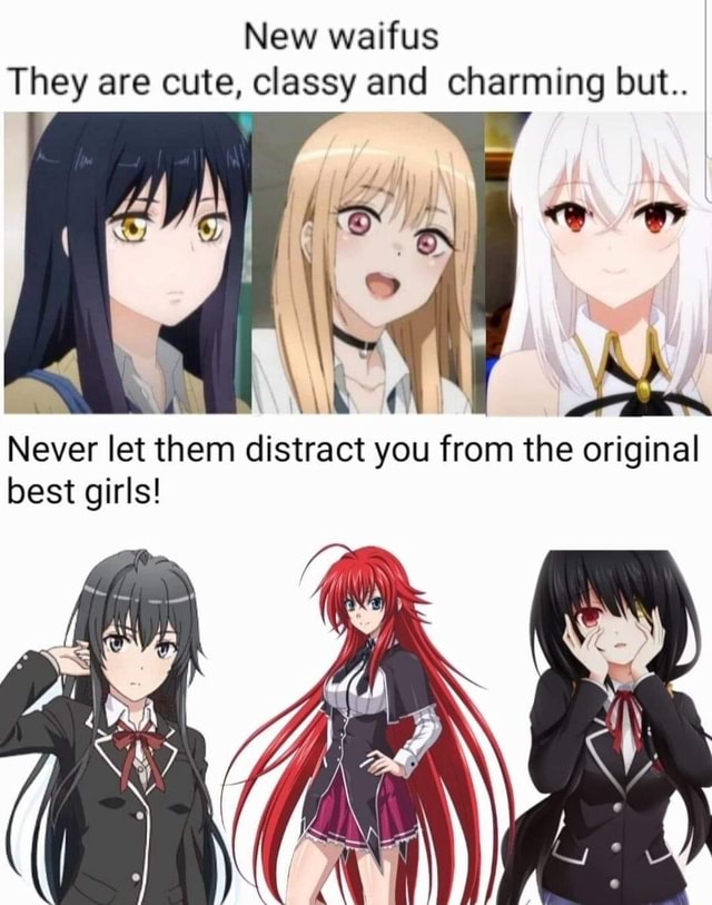 New waifus They are cute, classy and charming but.. Never let them ...