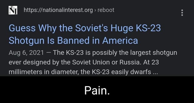 Reboot Guess Why the Soviet's Huge KS-23 Shotgun Is Banned in America ...