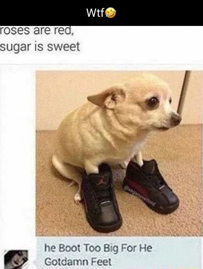 Roses are sugar is sweet he Boot Too Big For He Gotdamn Feet - iFunny