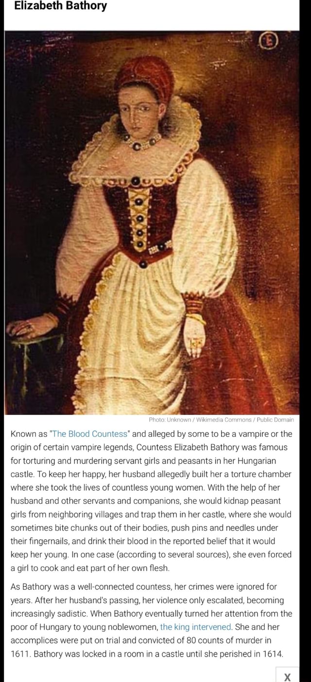 Elizabeth Bathory if Wikinedia Known as "The Blood Countess" and ...