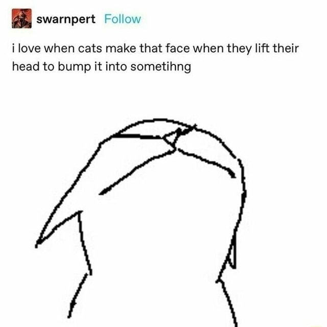 Swarnpert i love when cats make that face when they lift their head to ...