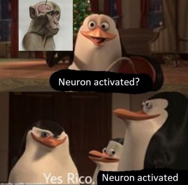 Neuron activated? Neuron activated - iFunny