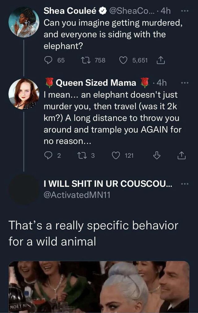 Shea Coule @ @SheaCo... Can you imagine getting murdered. and everyone ...