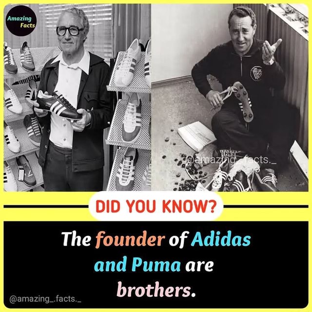 DID YOU KNOW? The founder of Adidas and Puma are brothers. @amazing ...