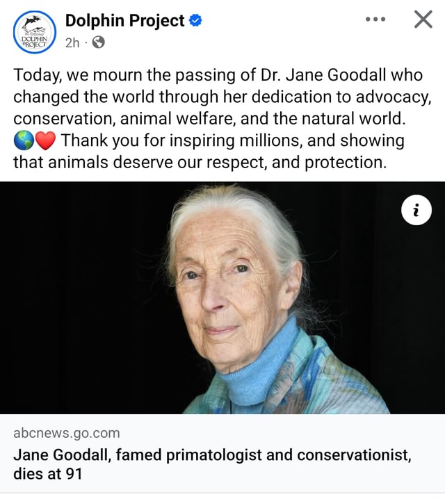 Dolphin Project @ Today, we mourn the passing of Dr. Jane Goodall who ...