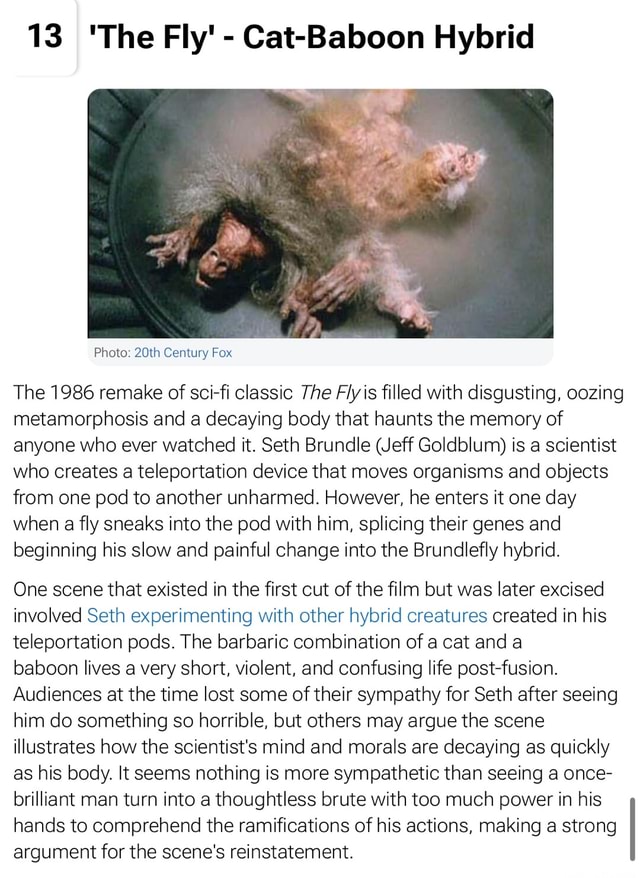 13 'The Fly' - Cat-Baboon Hybrid Photo: 20th Century Fox The 1986 ...