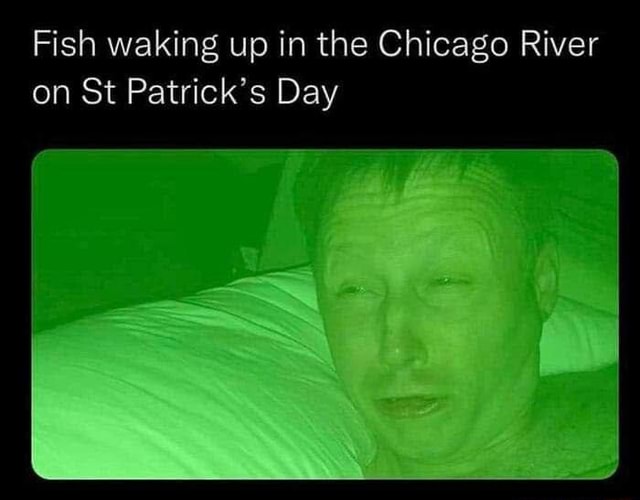 Fish waking up in the Chicago River on St Patrick's Day - iFunny