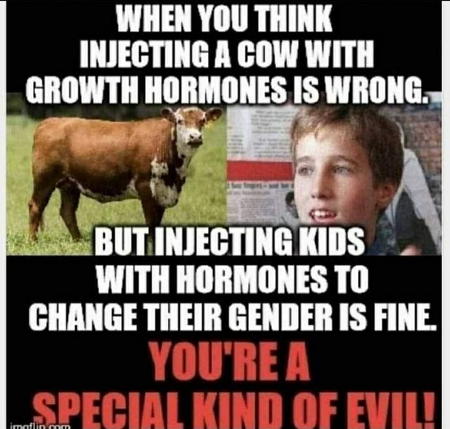 WHEN YOU THINK INJECTING A COW WITH GROWTH HORMONES IS WRONG. we aey Sa ...