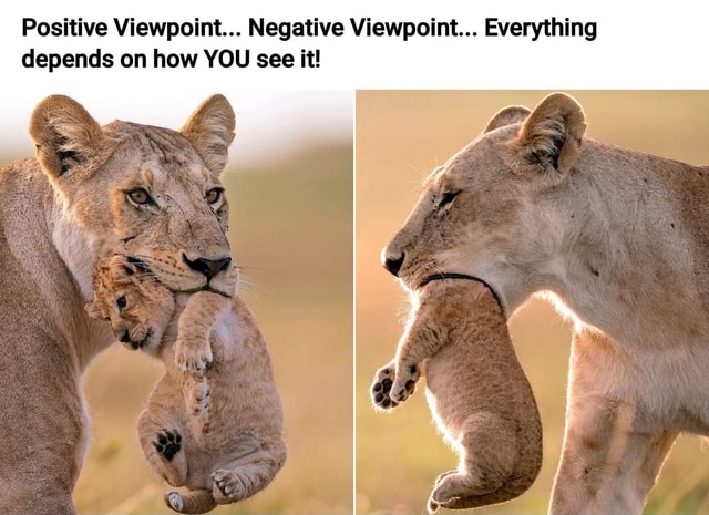 Positive Viewpoint... Negative Viewpoint... Everything depends on how ...