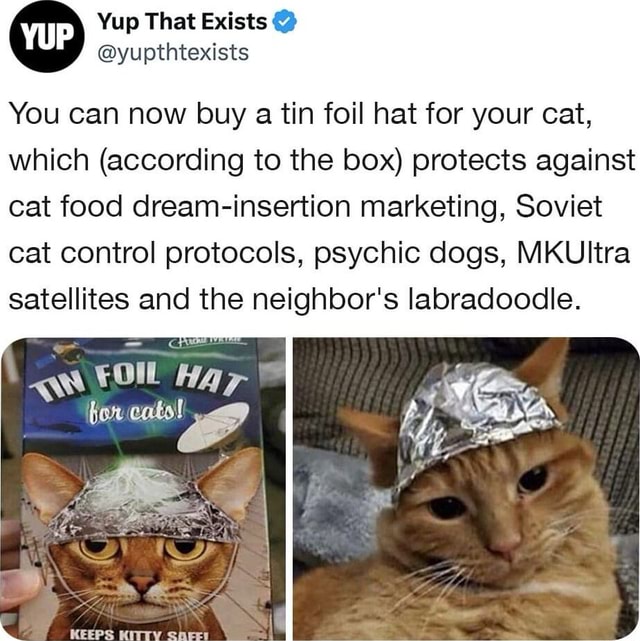 You can now buy a tin foil hat for your cat, which (according to the ...
